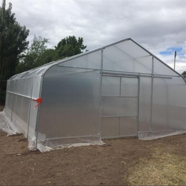 Quality Vegetable Growth Plastic Film Greenhouse All Season Growing Agricultural for sale