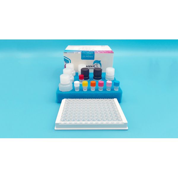 Quality Nitrofurazone (SEM) ELISA Drug Residue Test Kit Quick 0.025ng/ml Sensitivity for sale