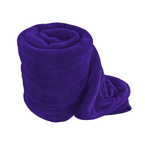 Quality Soft Printed 100% Polyester Microfiber Fleece Blanket Hotel Supplies for sale