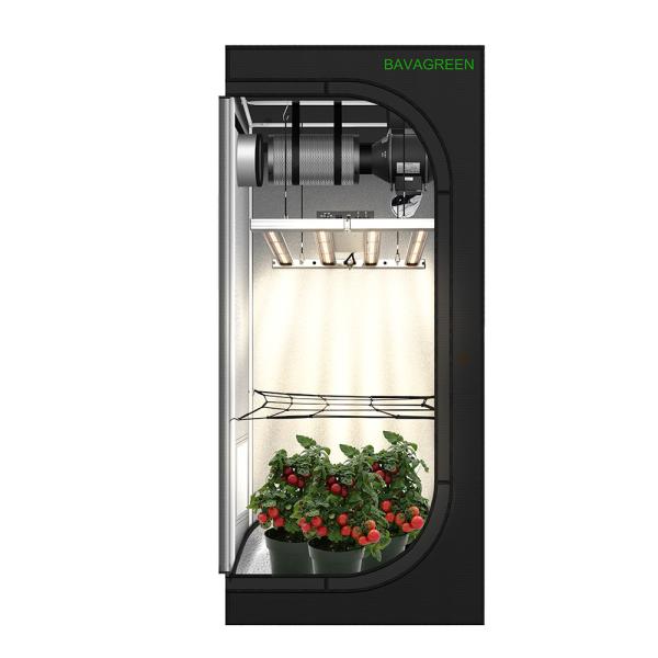 Quality BAVAGREEN Plant Growing Kit 240W LM301H EVO Mint White UV IR LED Grow Light 80x80x180cm 1680D Grow Tent With Smart Fan for sale