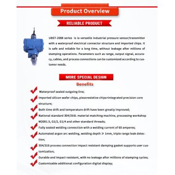 Quality UNIVO UBST-503SY Versatile Digital Display for Tank Pressure Sensors and for sale