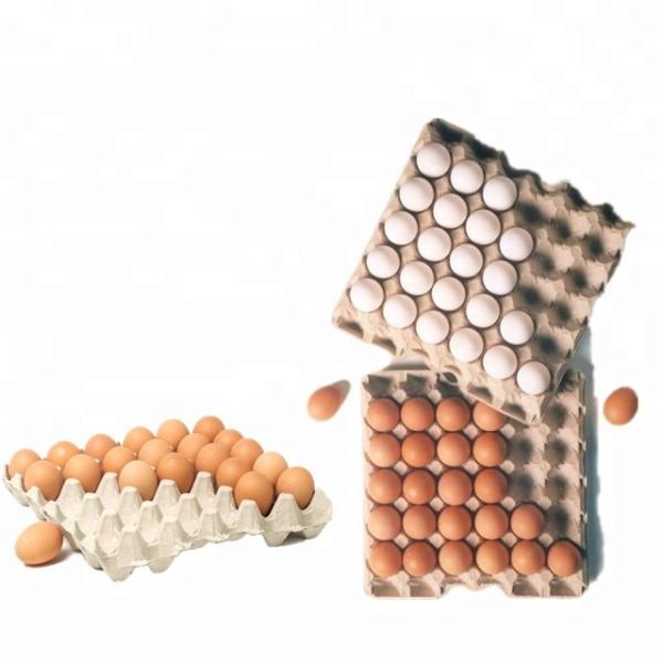 Quality Free Moulding Pulp Egg Tray Machine Heavy Weight High Effective for sale