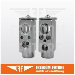 Quality 2208300384 AC Unit Expansion Valve Fits For 89-11 Mercedes Benz A B C G Class for sale