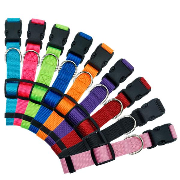 Quality Nylon Dog Collar Secure Comfortable Pet Management multiple colors custom for sale