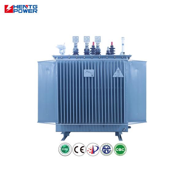 Quality Energy Efficient Industrial Grade Distribution Transformer, 160kVA 11kv 0.4kV Oil Immersed Type Compliant IEC60076 for African Regional Power Supply Project for sale