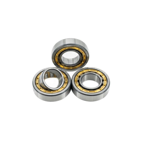 Quality N/NU/NJ/NF1017EM Cylindrical Roller Bearing with High Precision Rating P0 P2 P4 P5 P6 for sale