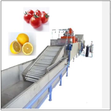 Quality automatic fruit apple washing and waxing and sorting macine fruit sorting for sale