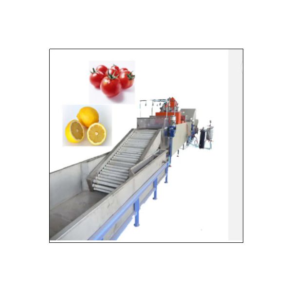 Quality Automatic Fruit Washing Waxing And Sorting Machine for sale