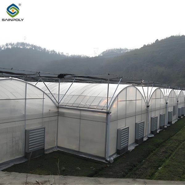 Quality Customizable Multi Span Greenhouse For Tomato Plants Growing for sale