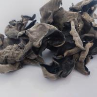 Quality Edible Dried Wood Ear Mushroom Healthy Dried Natural AD Black for sale