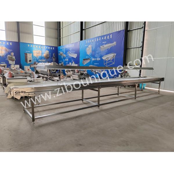 Quality 220v/ 380v Stainless Steel 304 Nut Selecting Conveyor Belt for Raisin Sorting for sale