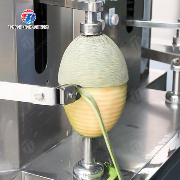 Quality Melon and fruit double-head with single cutter peeling machine papaya chieh-qua for sale