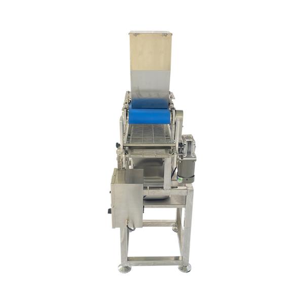 Quality Granule Coconut Spreader Machine Automatic Optional Food Machine 304 SS CE for sale