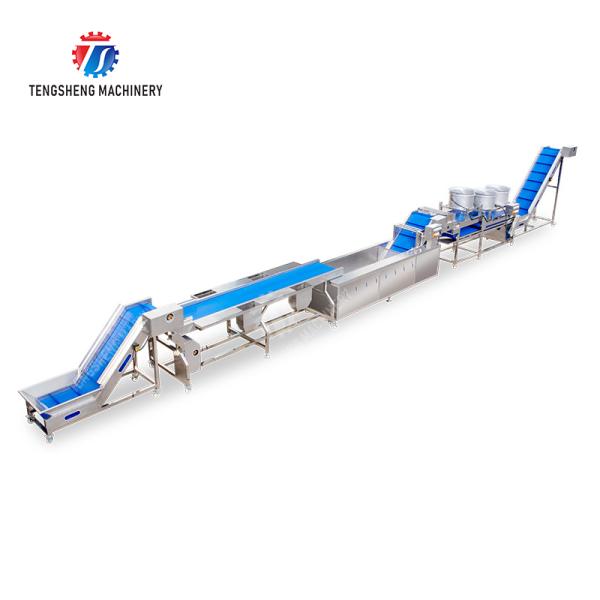 Quality vegetable drying equipment Fruit and vegetable selection washing and drying for sale