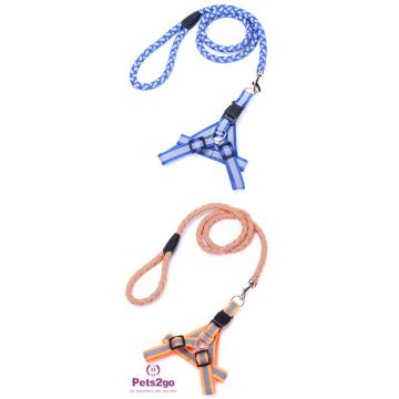 Quality Pet Training Dog Shock Collar Puppies Tools Basic Concepts Learning Curve for sale