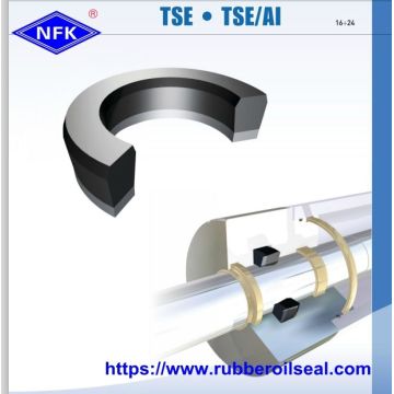 Quality SEG TSE Hydraulic Cylinder Seal For Injection Molding Machine Rubber Shaft Seal for sale