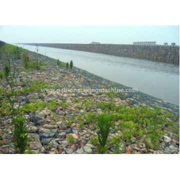 Quality Professional Gabion Box 100 x 120mm Mesh Size For Steep Slopes Lining for sale