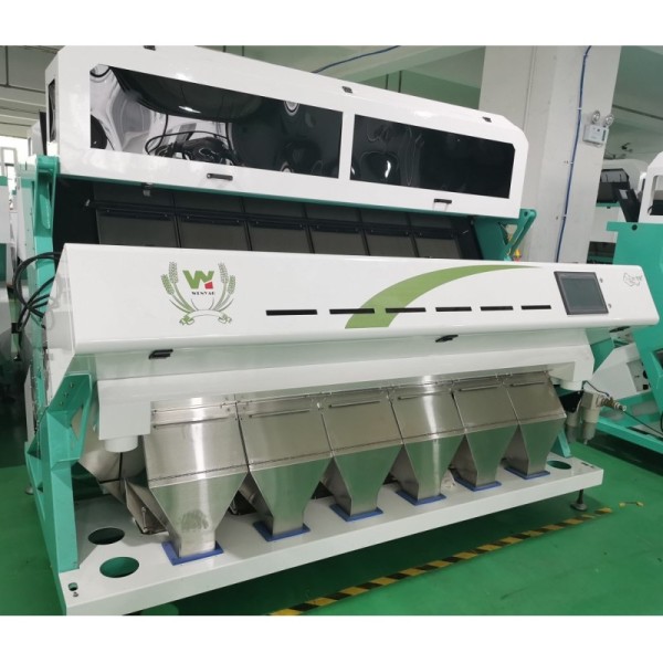 Quality CCD Full Color Beans Color Sorter Machine 304 Stainless Steel Hopper for sale