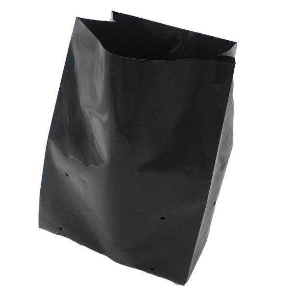 Quality Hydroponic Growing System Plastic Grow Bags Soft Generate Peony Flower Nursery Bag for sale