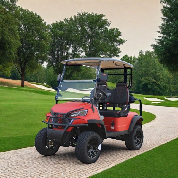 Quality HM Customized 2 Seater Golf Cart 800kg Max Load Capacity and 48V/60V/72V Battery Voltage for sale