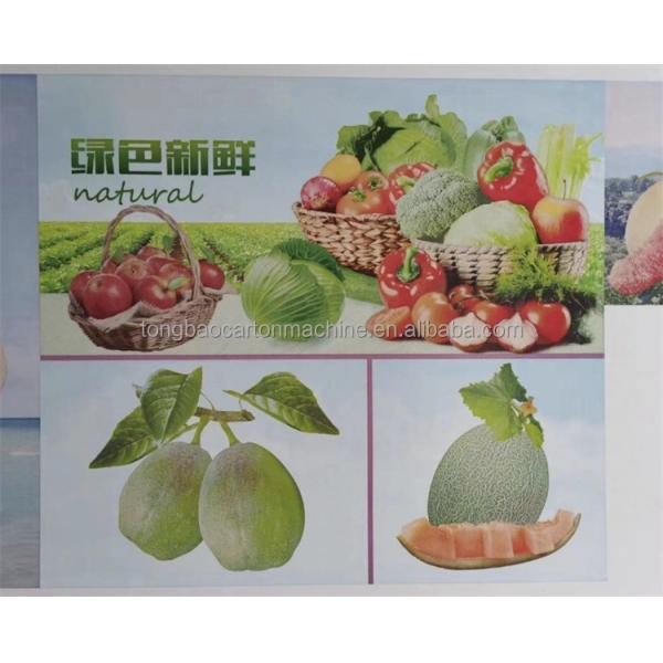 Quality High Definition Flexo Printing Slotting Rotary Die-Cutting Machine for sale
