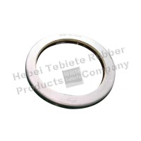 Quality 130X170X16 , 130*170*16 NBR Oil Seals, Automotive Seals, Rubber parts, Oil Seals for sale