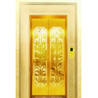 Quality Villa machine roomless fuji 630kg elevator 380v for sale