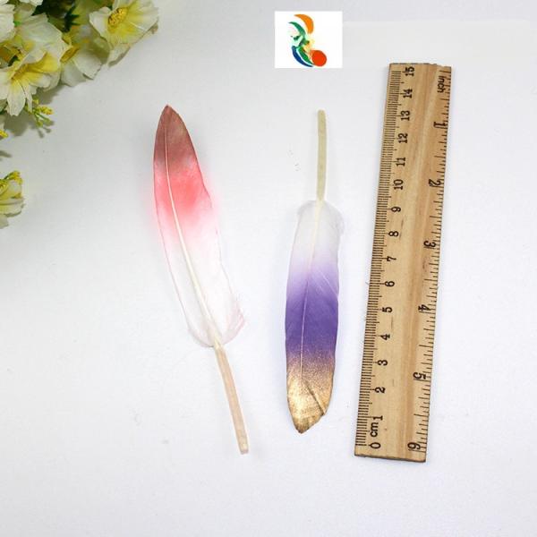 Quality 5-6inch Two Tones Millinery Feather , Colored Turkey Feathers For Fashionable for sale
