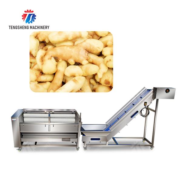 Quality Brush washing and hoisting production line Ginger Potato Carrot Taro Sweet for sale