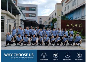 China Factory - Foshan Shunde Wf Electrical Technology Co., Ltd.