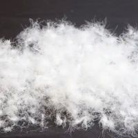 Quality 50% white duck down FP 500+ Cleanliness 1000+ for sale