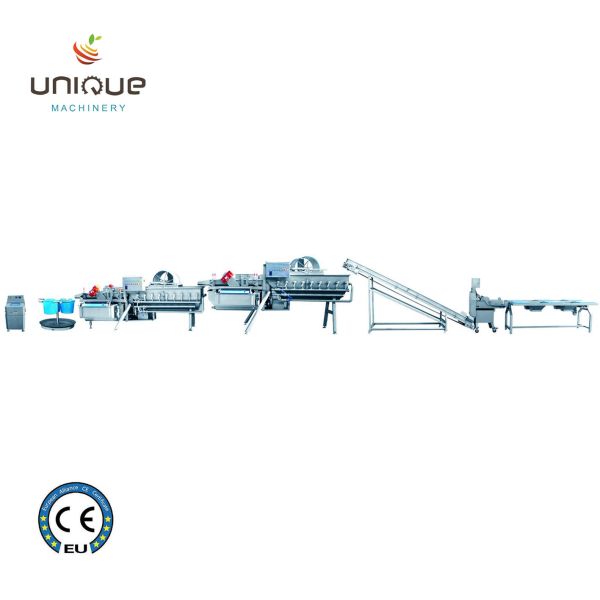 Quality Salad Processing Made Easy Vegetable Washing Machine for Baby Spinach Lettuce Cabbage for sale