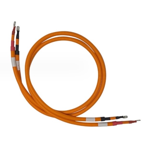 Quality RHOS Electric Vehicle Wire Harness 16AWG Automobile Wiring Harness for sale
