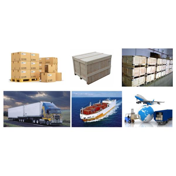 Quality 5W Breathing Ozone Machine Ozonator 500 Mg/H OEM for sale