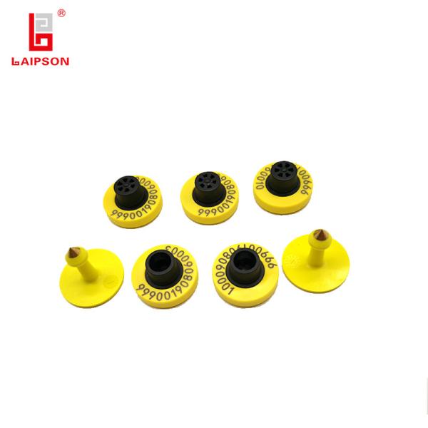 Quality 25mm FDX-B HDX Swine Boar Sow Sheep Cattle Tracking Ear Tags With Reusable Function for sale