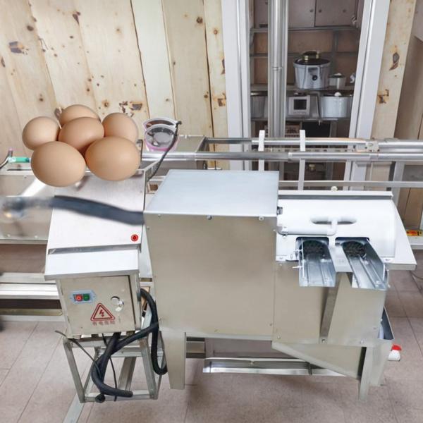Quality Automatic Egg Cleaner Washer Egg-Washing-Machine Chicken Duck Washer Egg Washing for sale