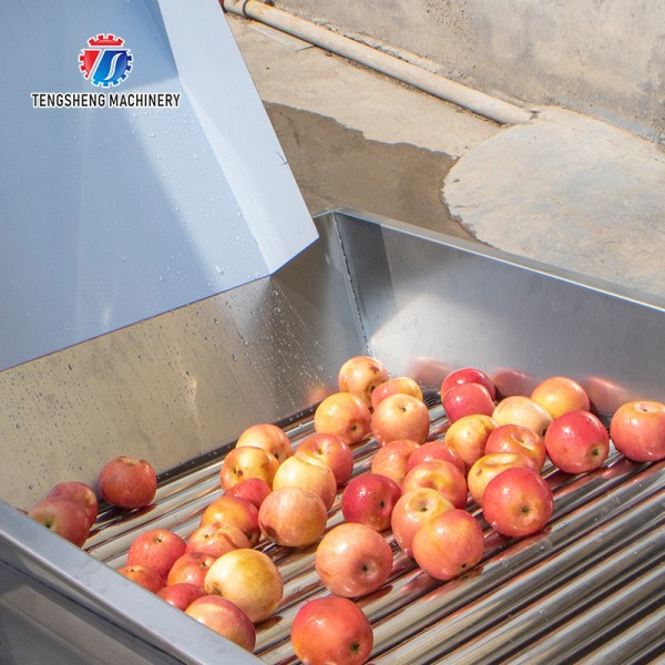 Quality Automatic Cherry Tomato Fruit Sorter Machine Potato Sorting Grading Machine for sale