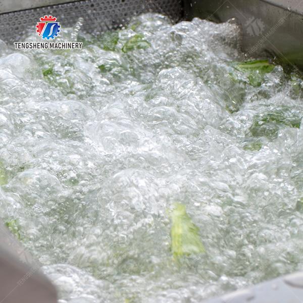 Quality Single cylinder fruit and vegetable washing machine with slag separator Leaves for sale