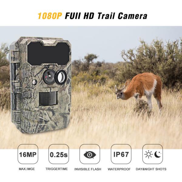 Quality Deer Camera KG790 Infrared Wildlife Outdoor camera 20MP IP67 for sale