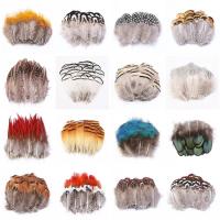 Quality Party Decoration Carnival Feathers 4-6 Inch , Natural Chicken Feather for sale