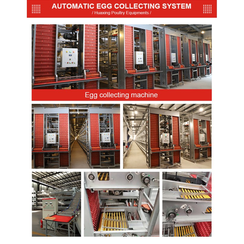 H TYPE LAYER CAGE (7).jpg