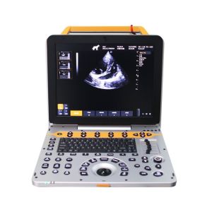 Quality 15 inch P60V Portable Veterinary Color Doppler Ultrasound System for Small for sale