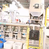 Quality High Speed Pecan Shelling Machine 380V CE Approved 1-2 Tons Yield for sale