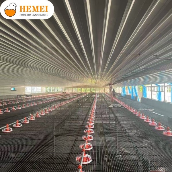 Quality CCS4 Floor Type Broiler Equipment for sale