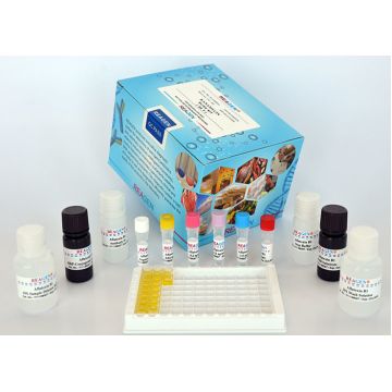 Quality Food Safety Enrofloxacin ELISA Test Kit Rapid Assay Protocol With Strong for sale