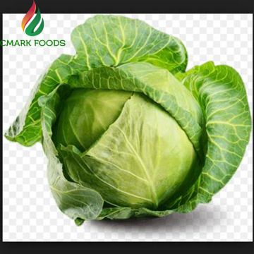 Quality Air Dried Cabbage Max 8% Moisture with ISO,HACCP and FDA certificates for sale