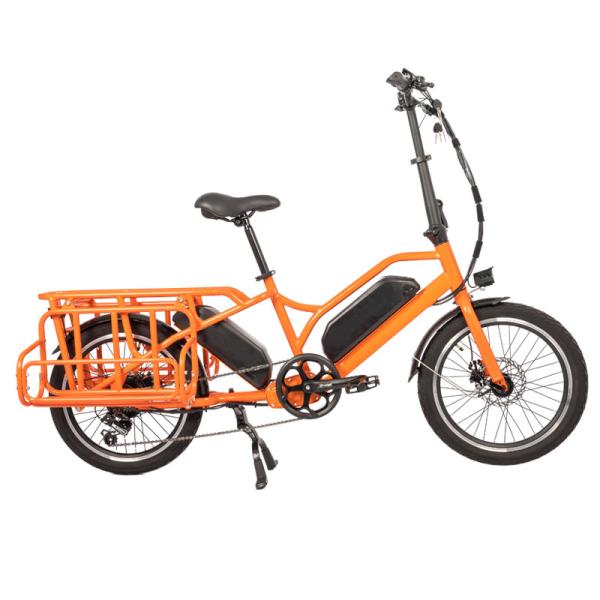 Quality Family E-cargo Electric Bike with 20
