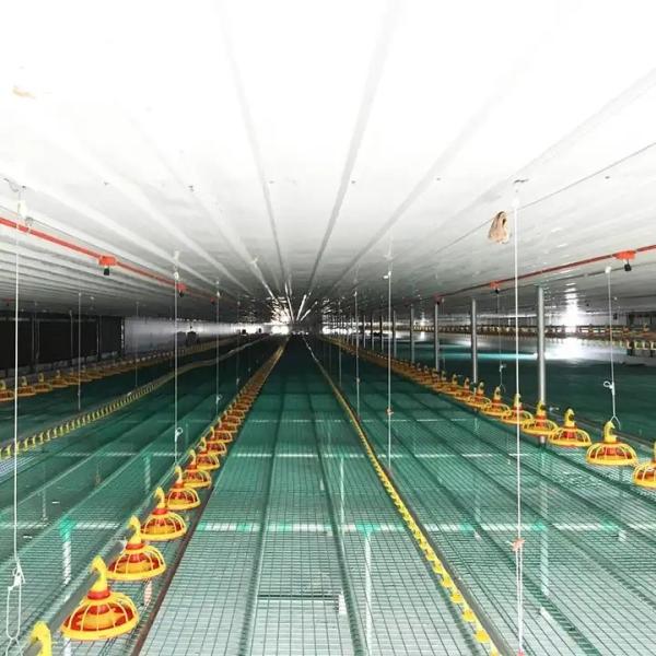 Quality Waterproof Automatic Poultry Farm Equipment Chicken House Feeders Drinkers for sale