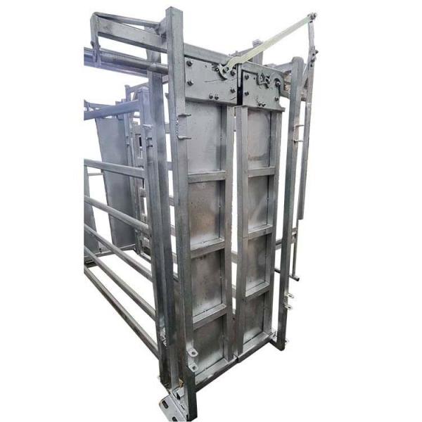 Quality 32mm OD Cattle Crushes Panel Cattle Headlock Panels Long Lasting for sale