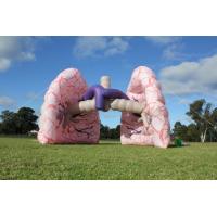 China Giant Inflatable Lung Model Advertising For Medical Exhibition Events factory